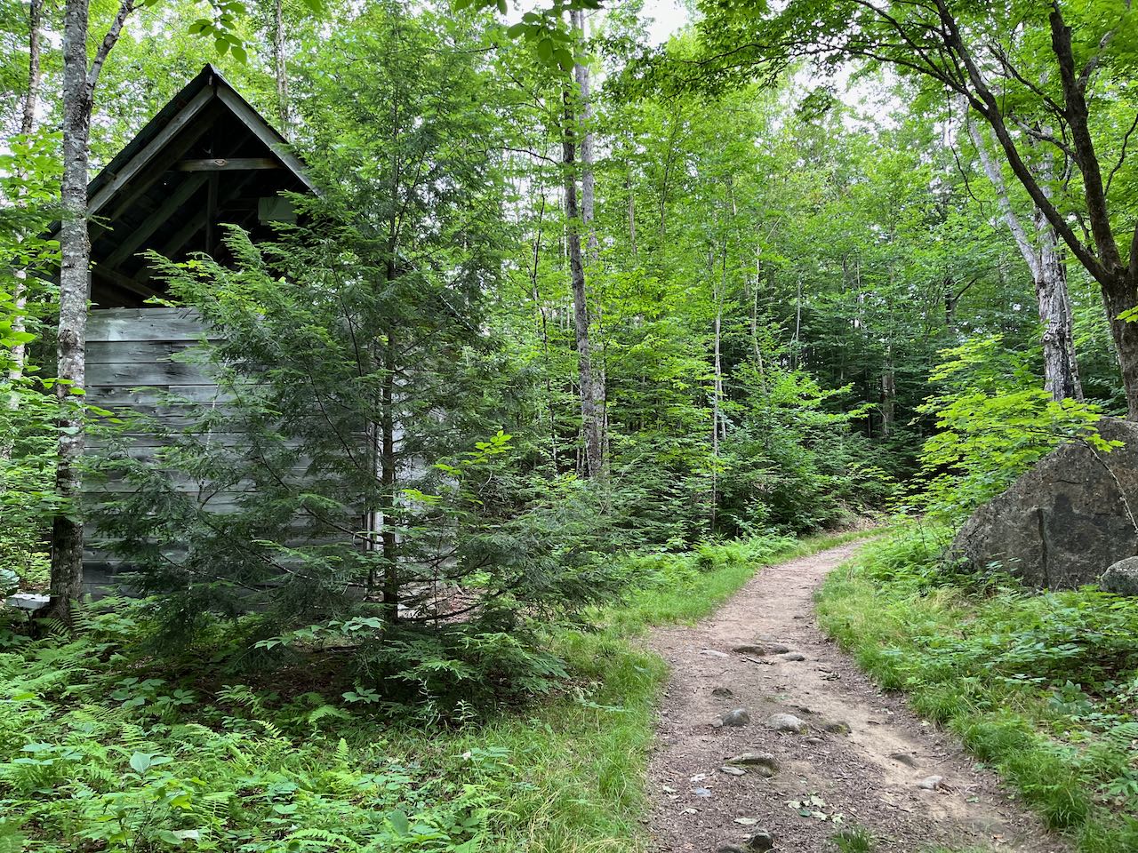 Bald Peak - NH Family Hikes